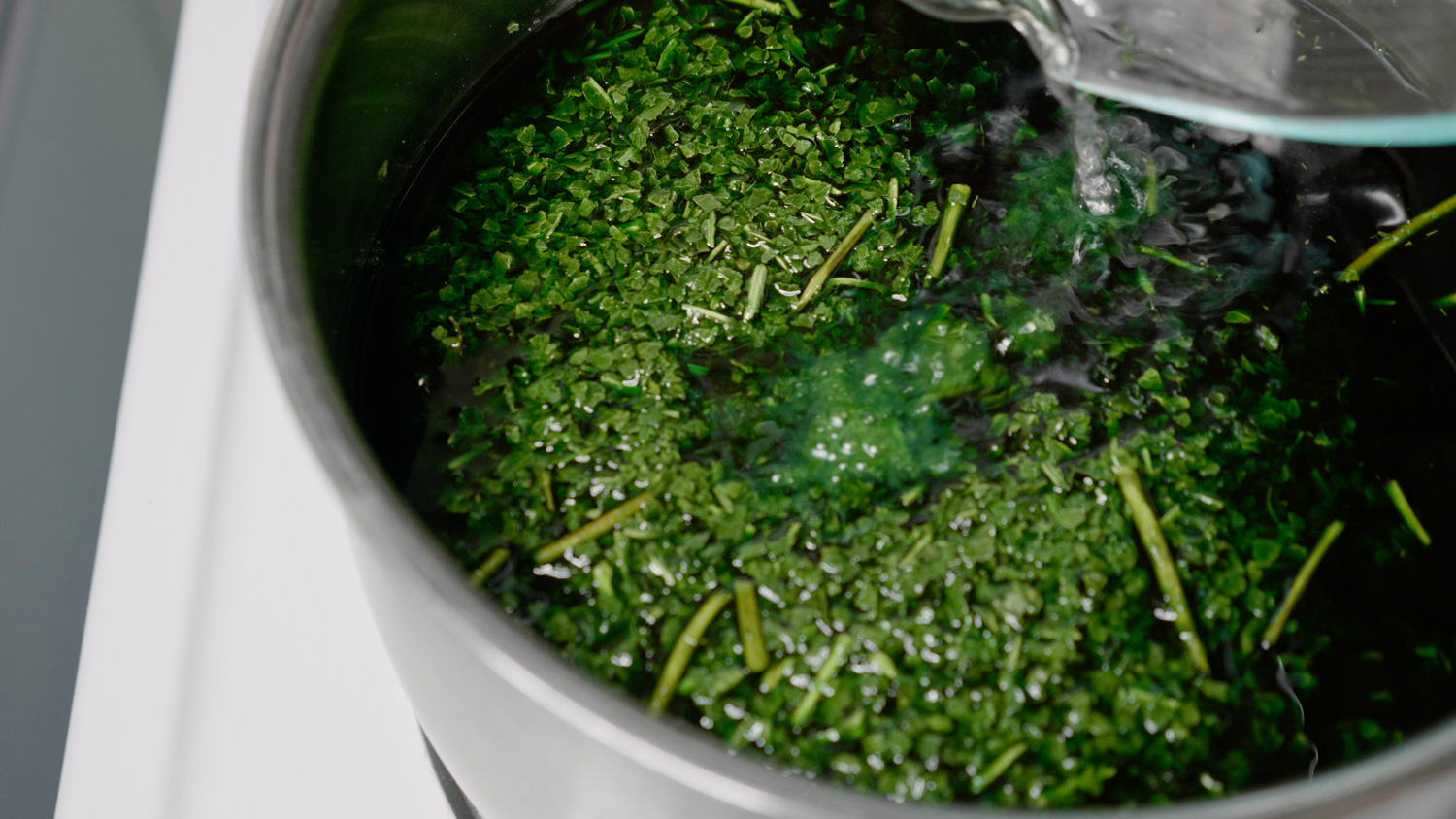 How to Make Wild Lettuce Extract - Feral Foraging