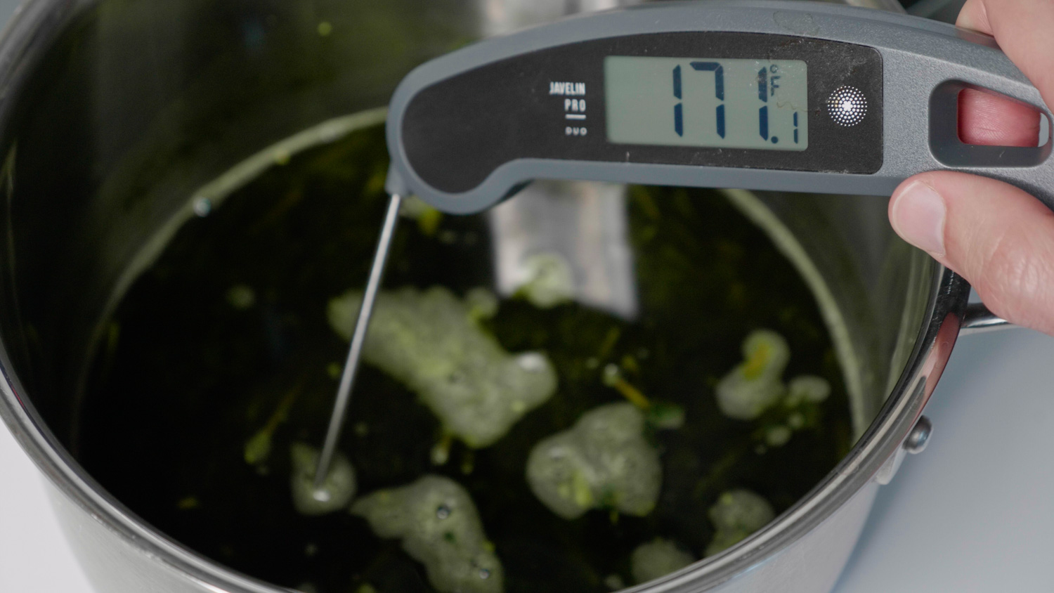 How to Make Wild Lettuce Extract - Feral Foraging