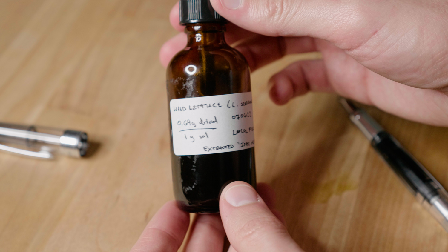 How to Make Wild Lettuce Extract - Feral Foraging