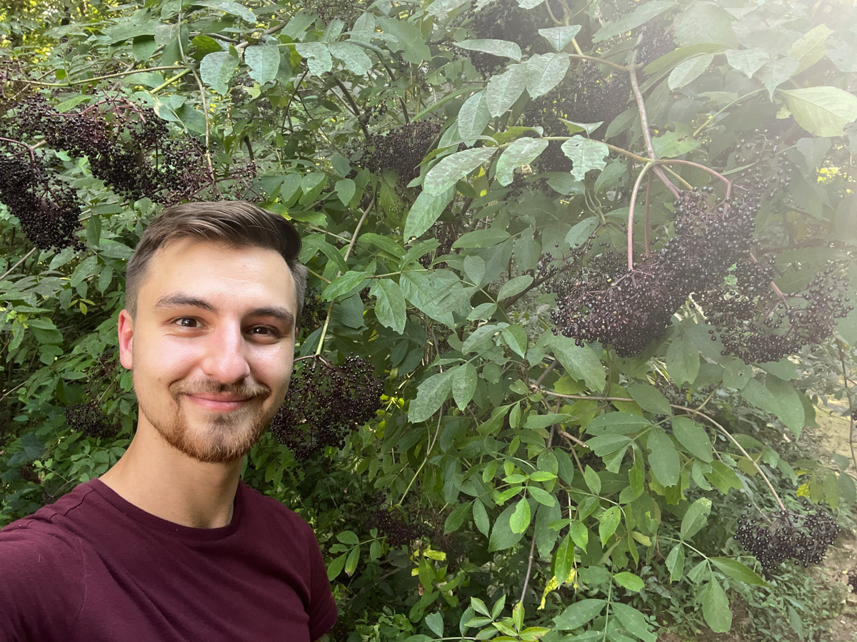 A Guide to Foraging in Alabama and the Southeast - Feral Foraging