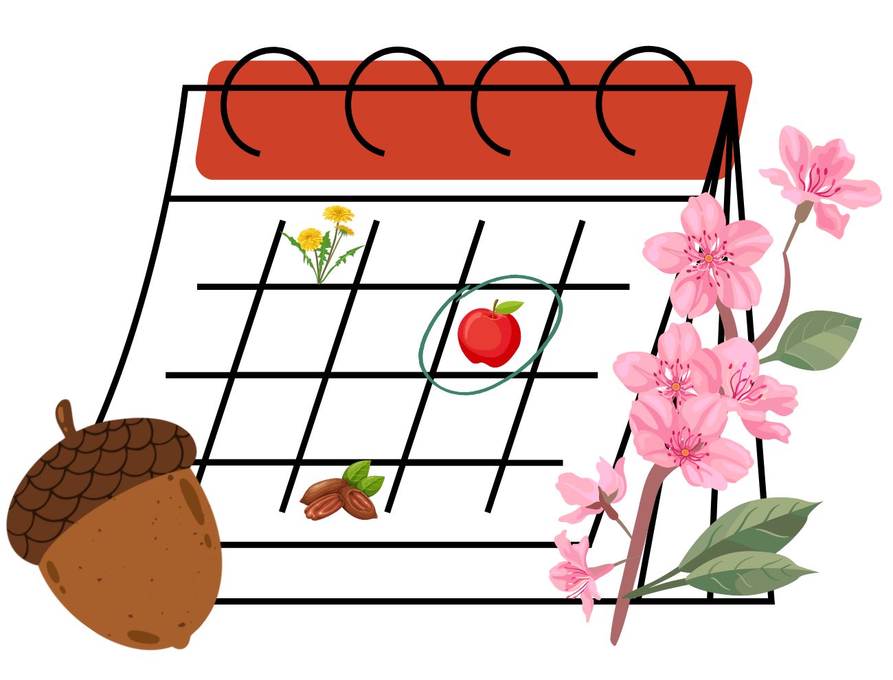 The Forager’s Calendar - Feral Foraging