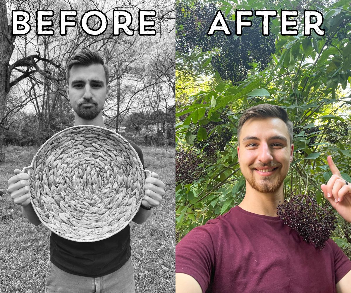 The Forager’s Calendar – Feral Foraging