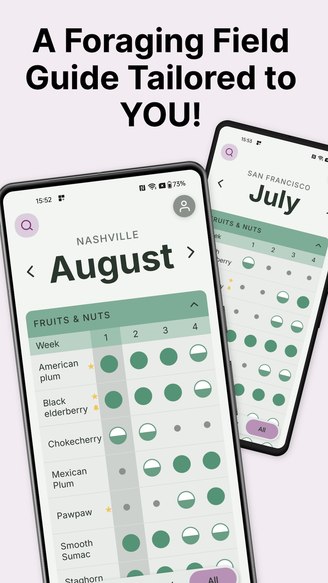 The Forager’s Calendar – Feral Foraging