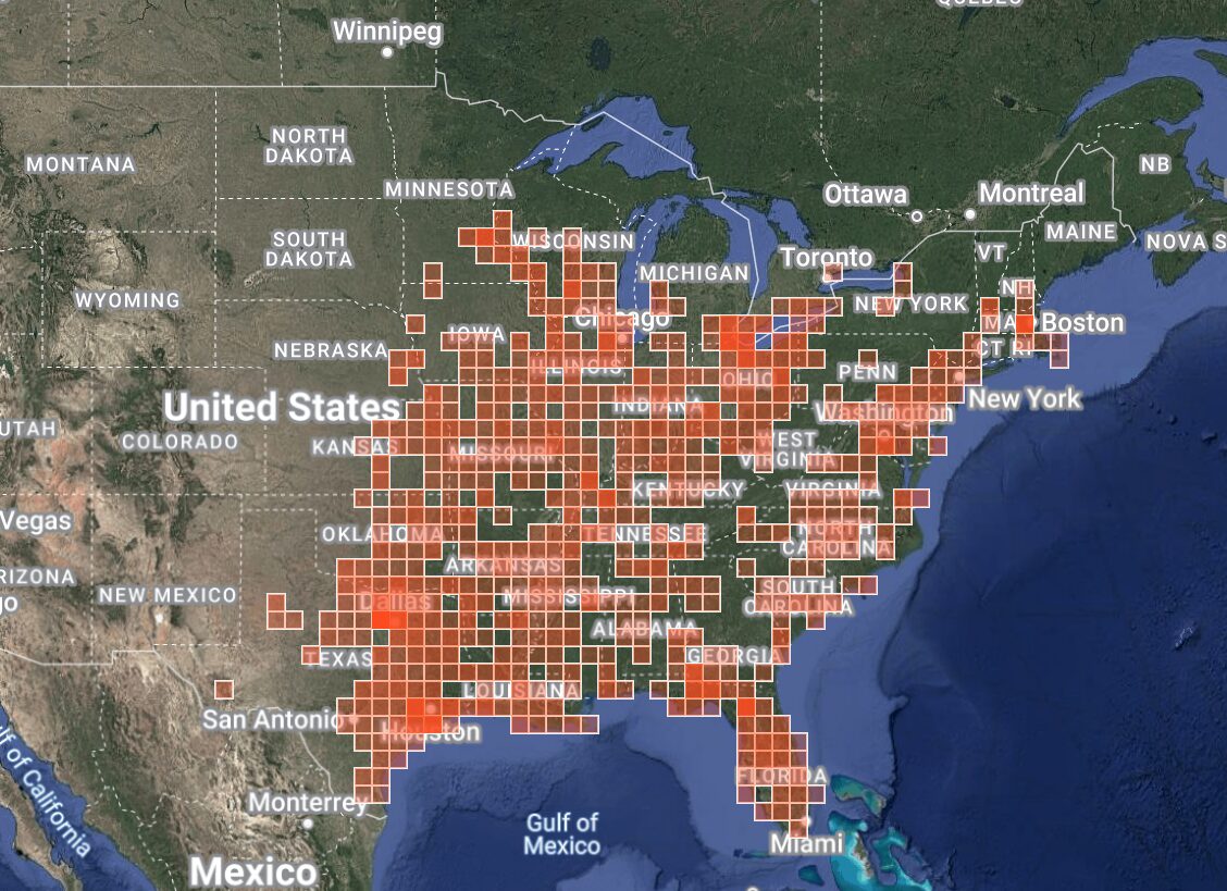 American Lotus: Uses, Processing, Lookalikes, and More